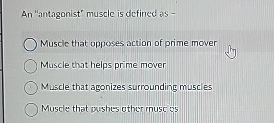 Solved An "antagonist" muscle is defined as -Muscle that | Chegg.com