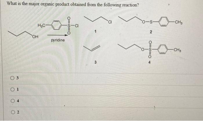 Solved What is the major organic product obtained from the | Chegg.com