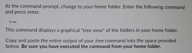 Solved At the command prompt, change to your home folder. | Chegg.com