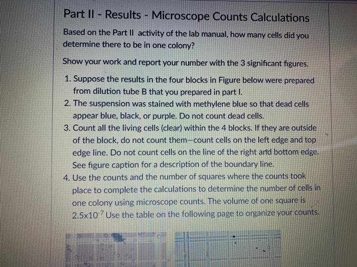 Solved Part II - Results - Microscope Counts Calculations | Chegg.com