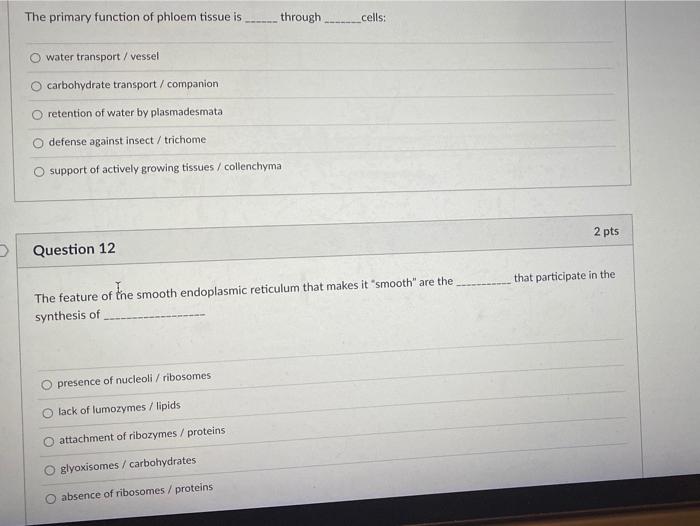 Solved The primary function of phloem tissue is through | Chegg.com