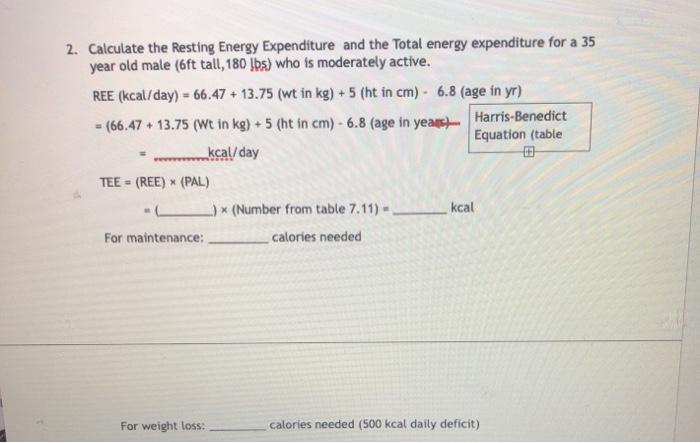 Solved 2. Calculate the Resting Energy Expenditure and the | Chegg.com