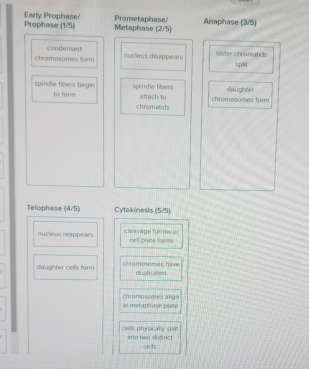 Solved Early Prophase/ ﻿Prophase (1/5)condensed chromosomes | Chegg.com