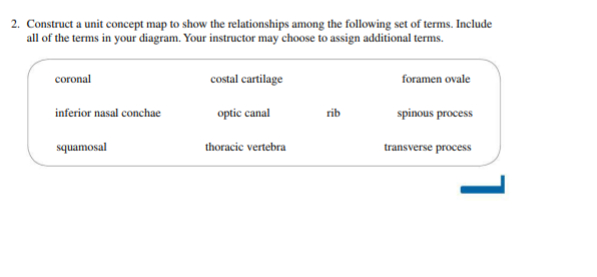Solved 2. ﻿Construct a unit concept map to show the | Chegg.com