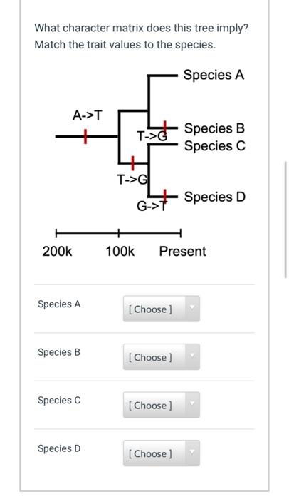 Solved What character matrix does this tree imply? Match the | Chegg.com
