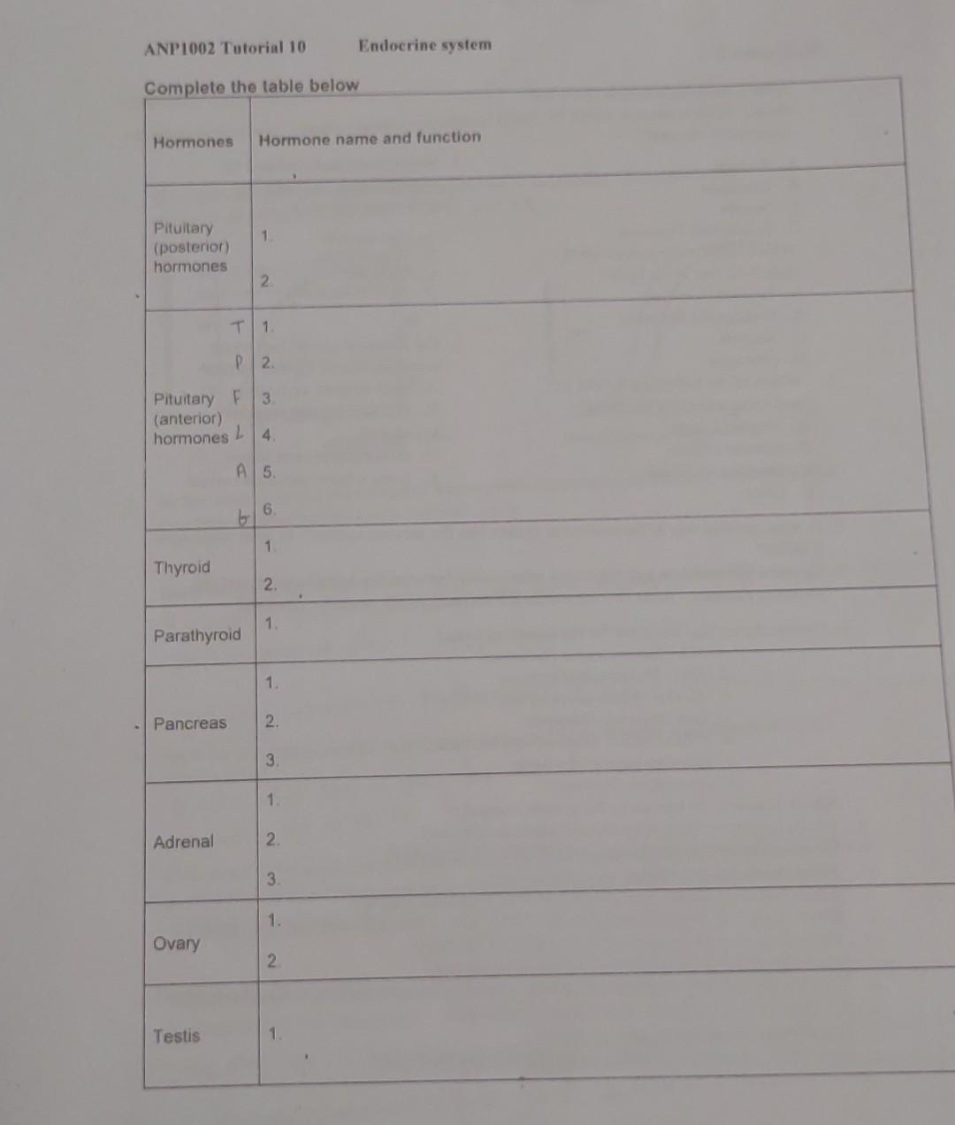 Solved ANP1002 Tutorial 10 Endocrine system Complete the | Chegg.com
