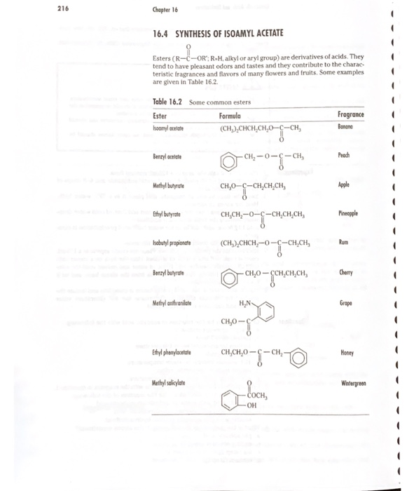 Solved Chapter 16 16.4 SYNTHESIS OF ISOAMYL ACETATE Esters | Chegg.com