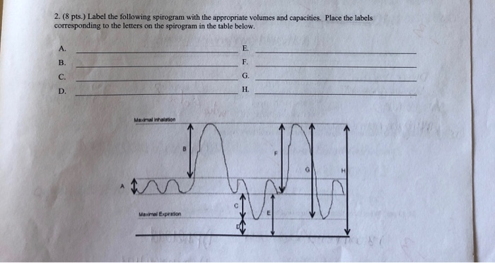 Solved 2. (8 pts.) Label the following spirogram with the | Chegg.com