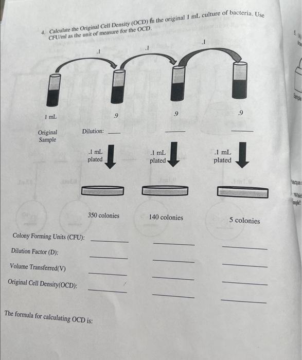 Solved 4. Calculate the Original Cell Density (OCD) in the | Chegg.com