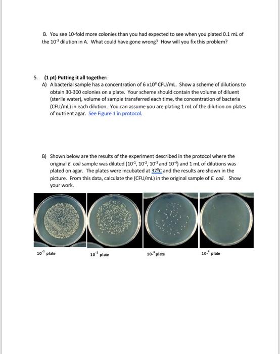 Solved 5. (1 pt) Putting it all together: A) A bacterial | Chegg.com