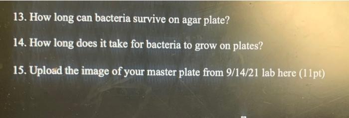 Solved 1. What is a master plate? 2. What is the importance | Chegg.com