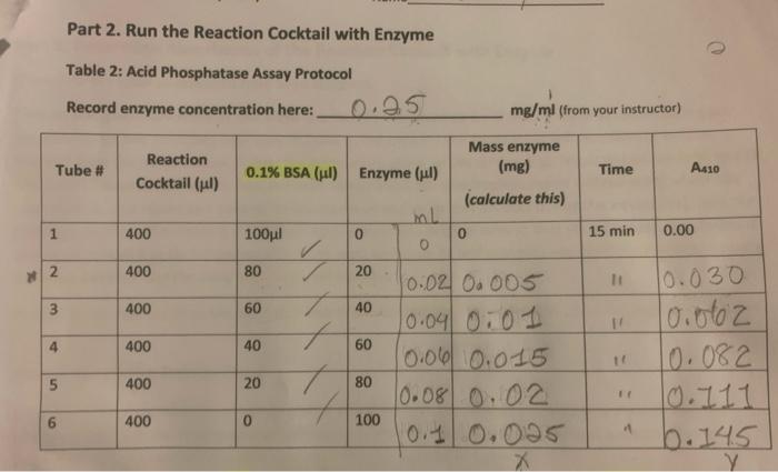 Solved Part 5. Enzyme Kinetics Results Calculations and | Chegg.com