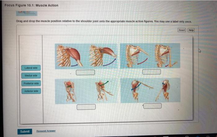 Solved Question | Chegg.com