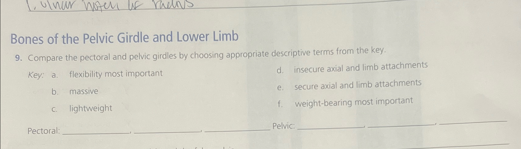 Solved vlnar hoten us raclivsBones of the Pelvic Girdle and | Chegg.com