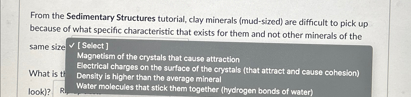 Solved From the Sedimentary Structures tutorial, clay | Chegg.com