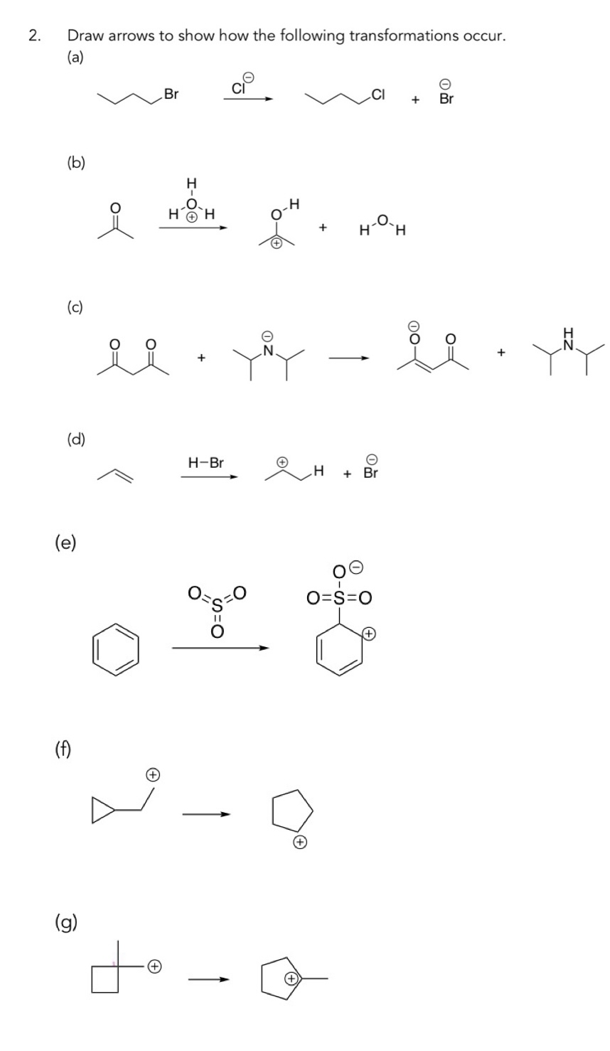 Solved Draw arrows to show how the following transformations | Chegg.com