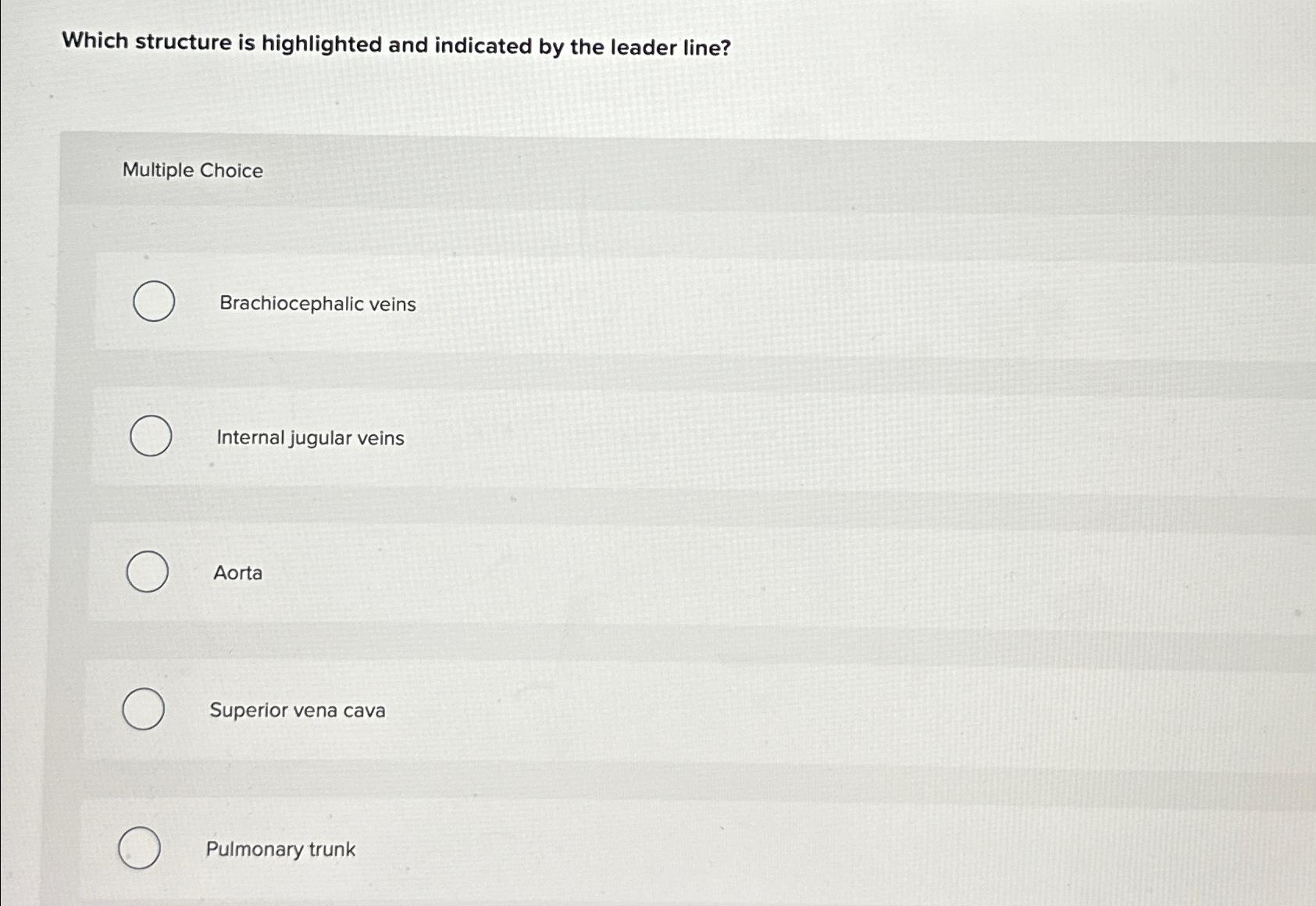Solved Which structure is highlighted and indicated by the | Chegg.com
