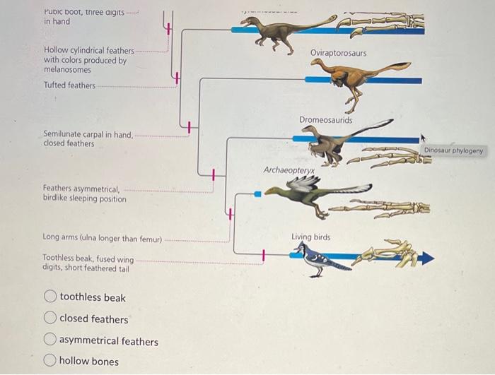Solved Write a short working definition of evolution via | Chegg.com