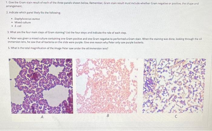 Solved 1. Give the Gram stain result of each of the three | Chegg.com