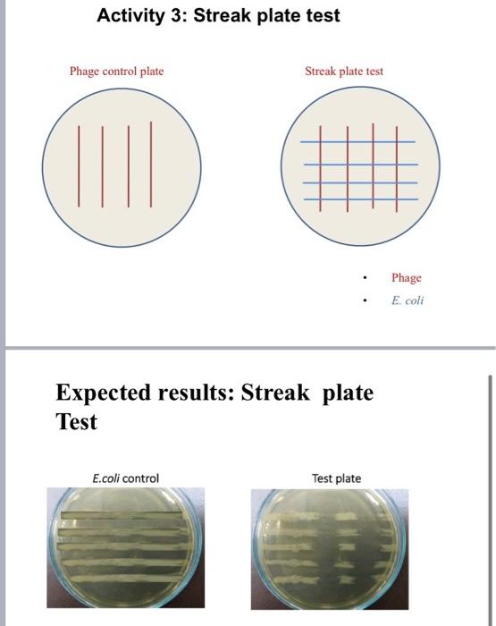 Solved Streak plate Test Observe the 3 plates for zones of | Chegg.com