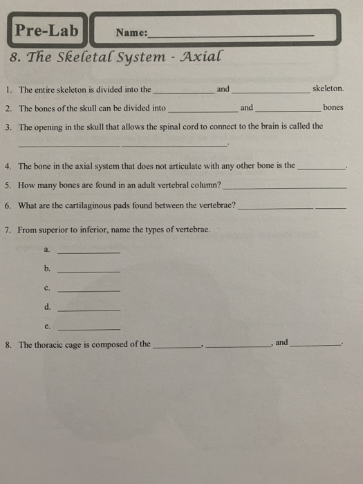 Solved Pre-Lab Name: 8. The Skeletal System Axial skeleton. | Chegg.com