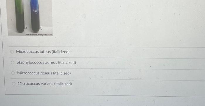 You perform several tests on an unidentified | Chegg.com