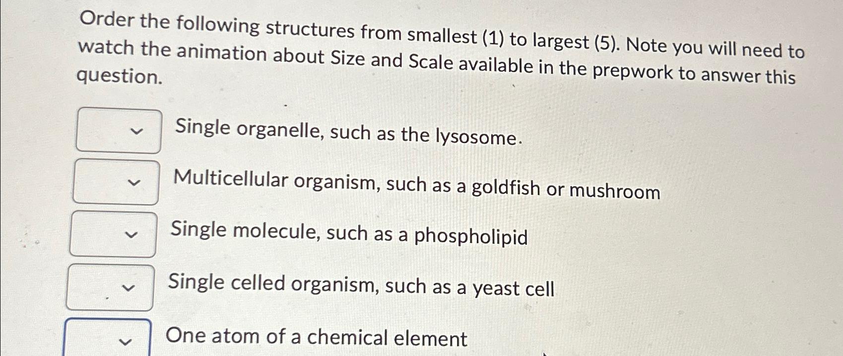 Solved Order the following structures from smallest (1) ﻿to | Chegg.com
