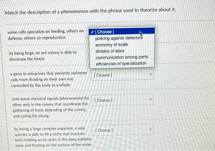 Solved Match the description of a phenomenon with the phrase | Chegg.com