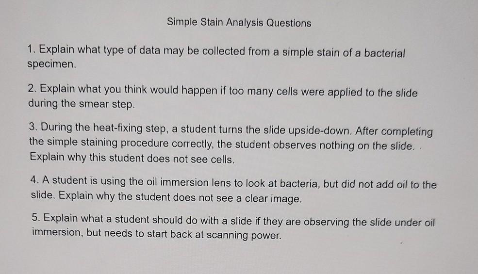 Solved Simple Stain Analysis ions 1 Explain What Type Chegg