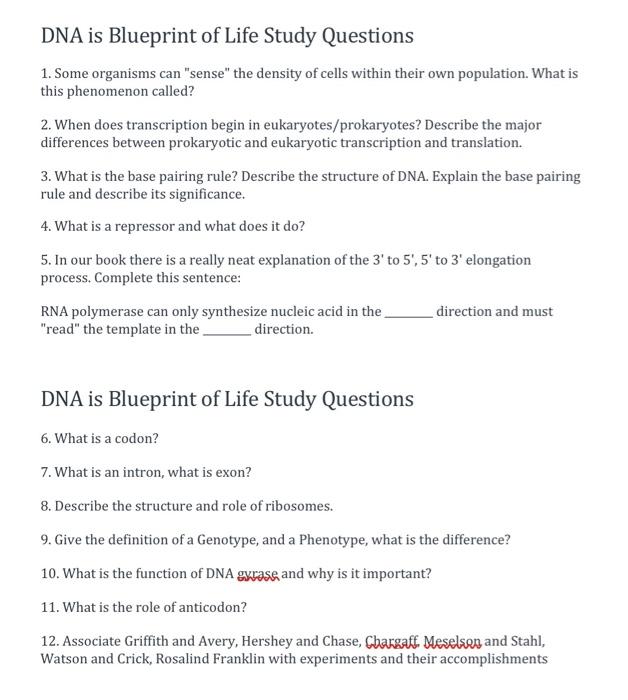 Solved DNA is Blueprint of Life Study Questions 1. Some | Chegg.com
