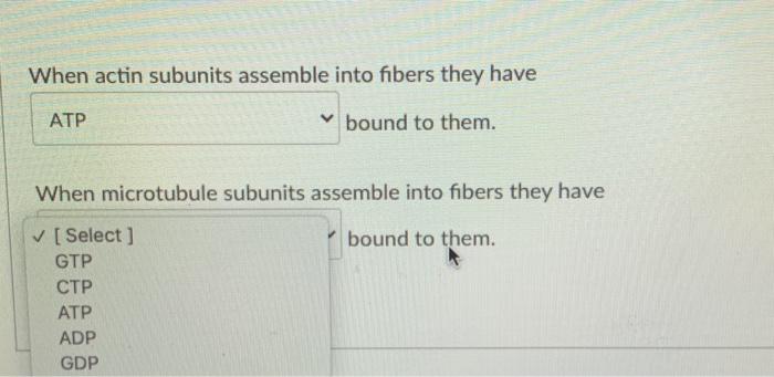 Solved When actin subunits assemble into fibers they have | Chegg.com