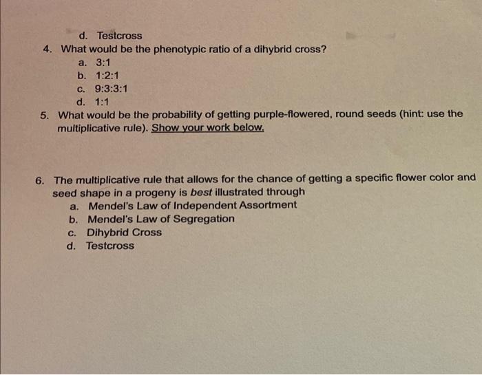 Solved BIO 340 Recitation 2 Mendelian Genetics Short Arswer | Chegg.com Solved BIO 340 Recitation 2 Mendelian Genetics Short Arswer | Chegg.com