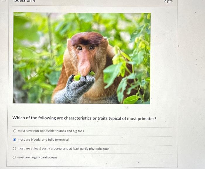 Which of the following are characteristics or traits | Chegg.com