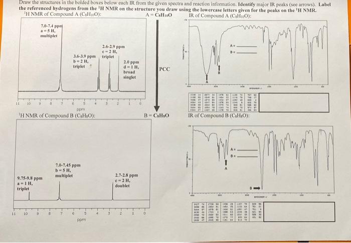 Solved Draw the structures in the bolded boxes below each IR | Chegg.com