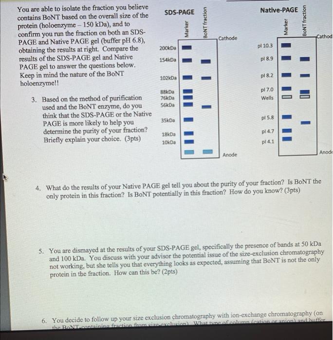 Solved why would Ni-NTA affinity chromatography be a poor | Chegg.com