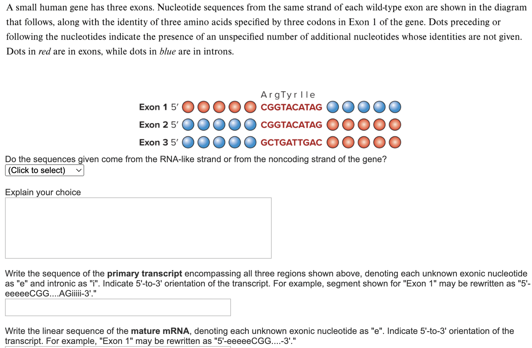 Solved A small human gene has three exons. Nucleotide | Chegg.com