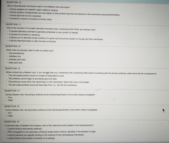 Solved QUESTION 10 Why is nitrocelulose membrane useful in | Chegg.com