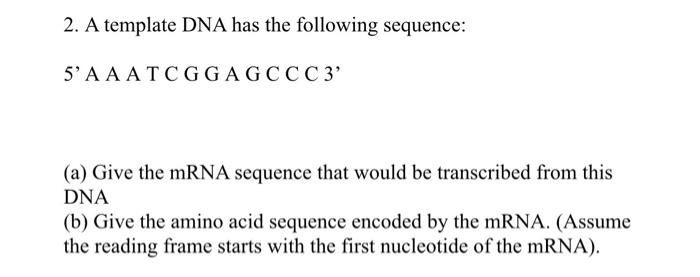 Solved 2. A template DNA has the following sequence: 5' A A | Chegg.com