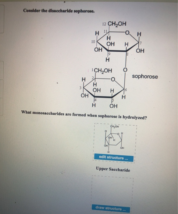 Solved Consider the disaccharide sophorose. H11 12 СН,ОН -он | Chegg.com