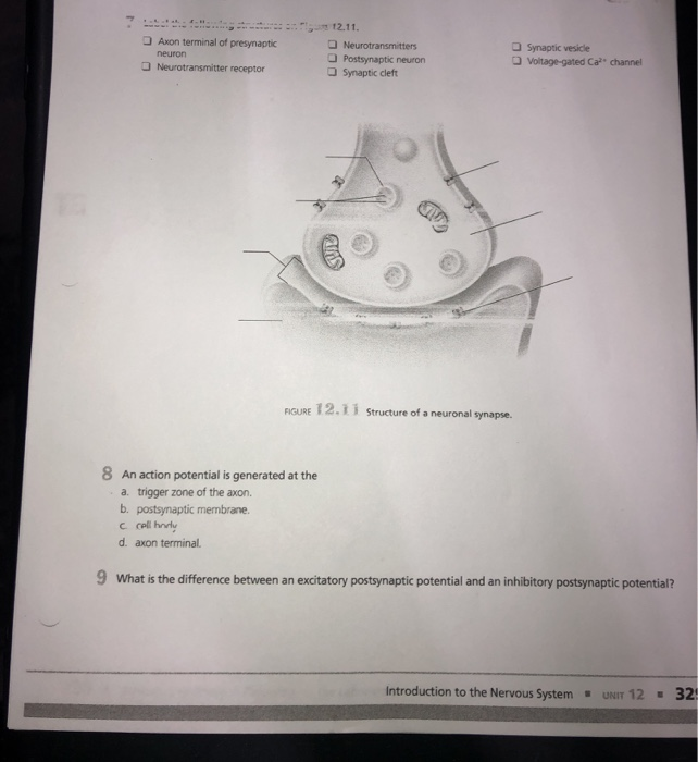 Solved 6 Label the following structures on Figure 12.10. | Chegg.com