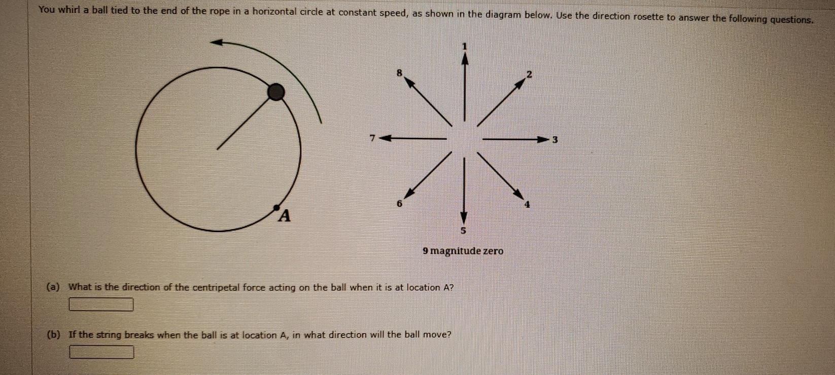 Solved You whirl a ball tied to the end of the rope in a | Chegg.com