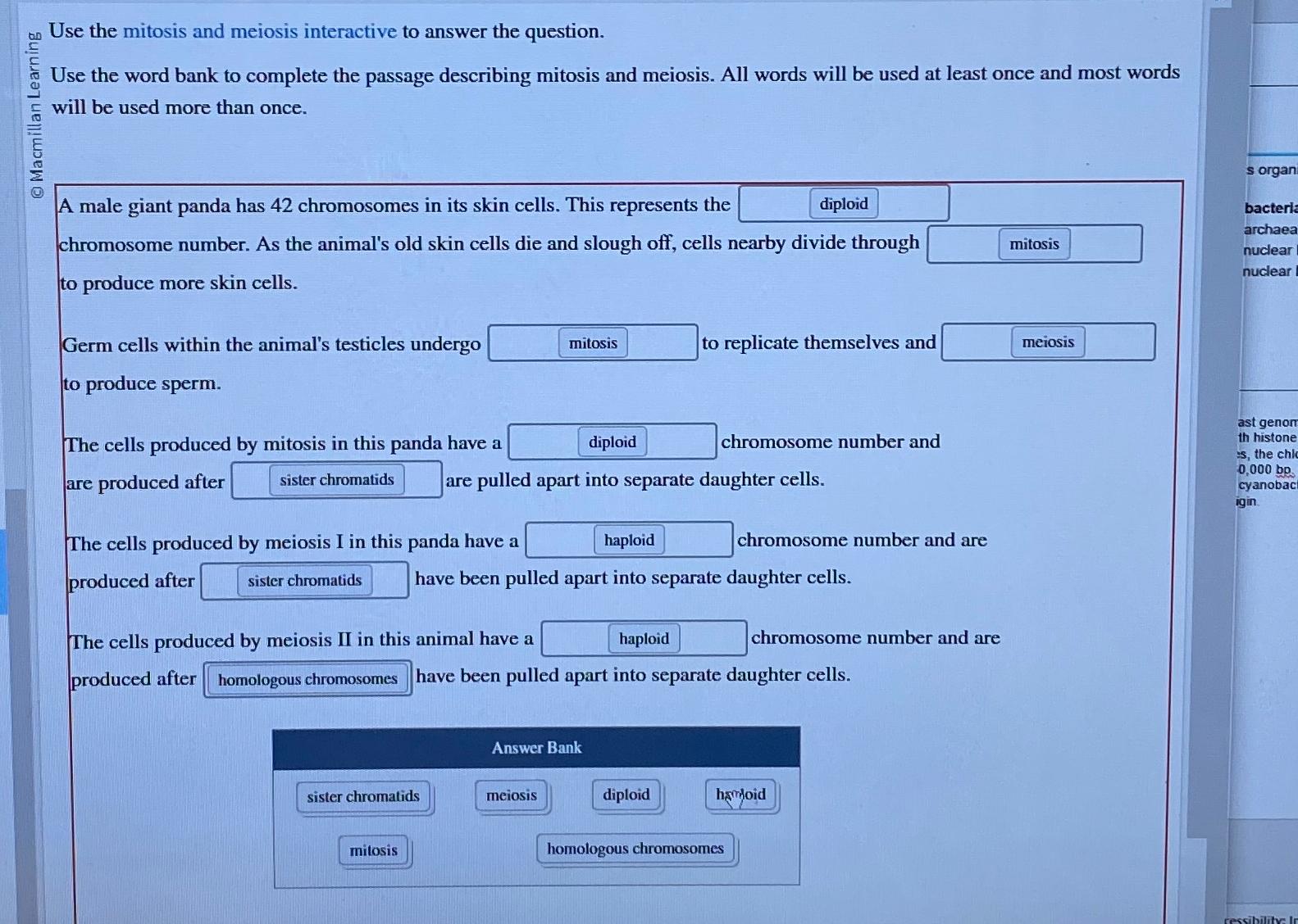 Solved Use the mitosis and meiosis interactive to answer the | Chegg.com