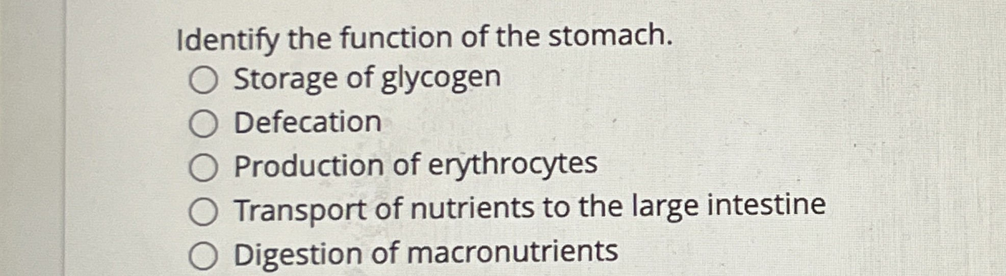 Identify the function of the stomach.Storage of | Chegg.com