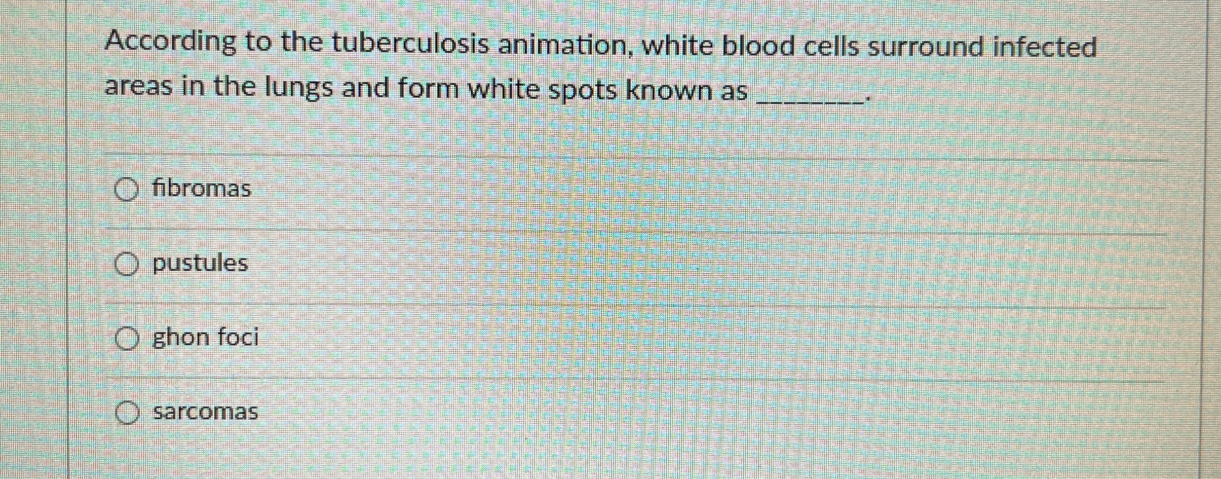 Solved According to the tuberculosis animation, white blood | Chegg.com