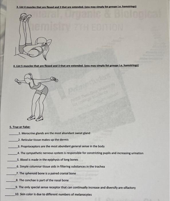 Solved 241 Final Exam Review Name 1. Label the parts of the | Chegg.com