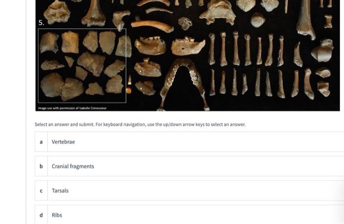 And this grouping?Select an answer and submit. For | Chegg.com