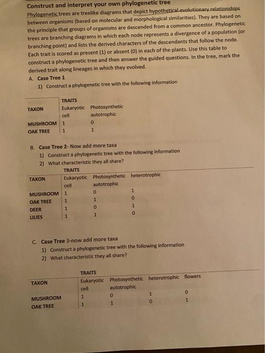 Solved Construct and interpret your own phylogenetic tree | Chegg.com