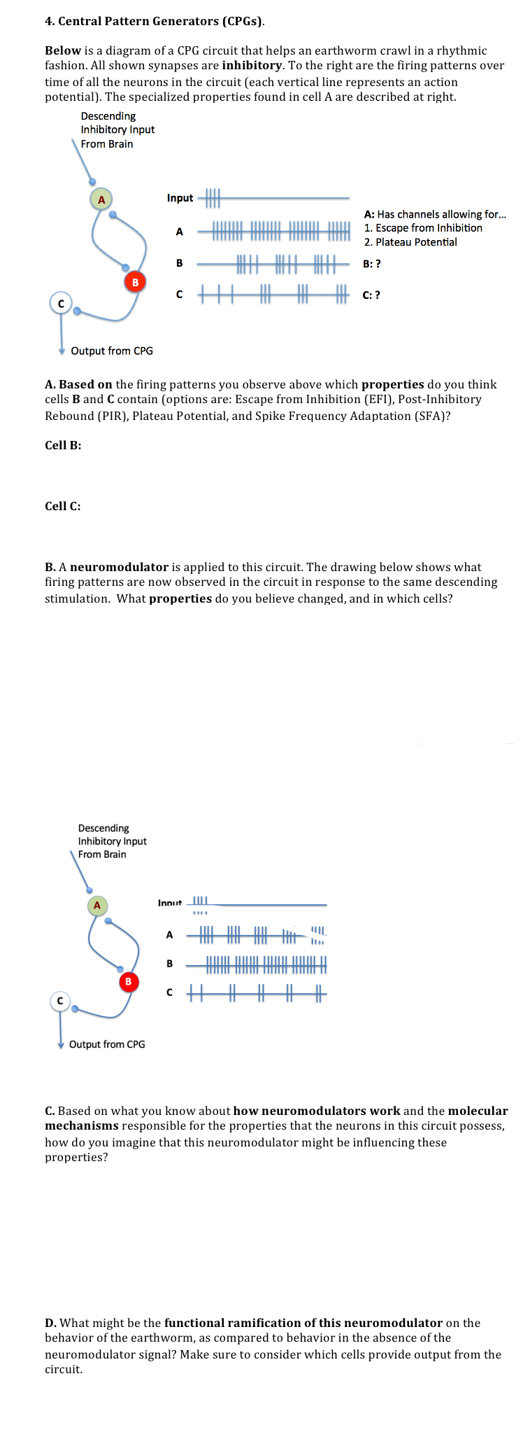 Solved Answer all parts! Central Pattern Generators | Chegg.com