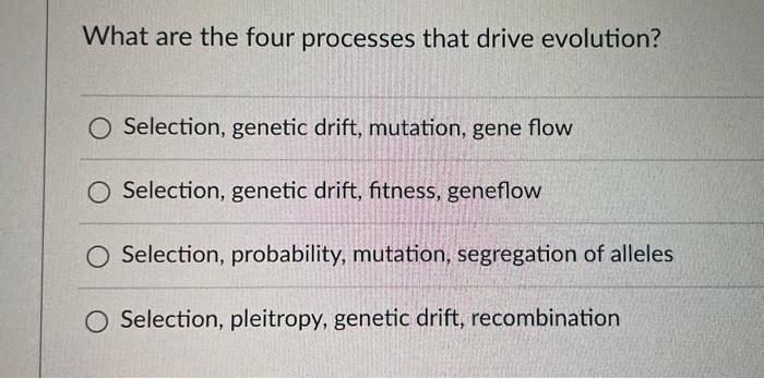 Solved What are the four processes that drive evolution? | Chegg.com