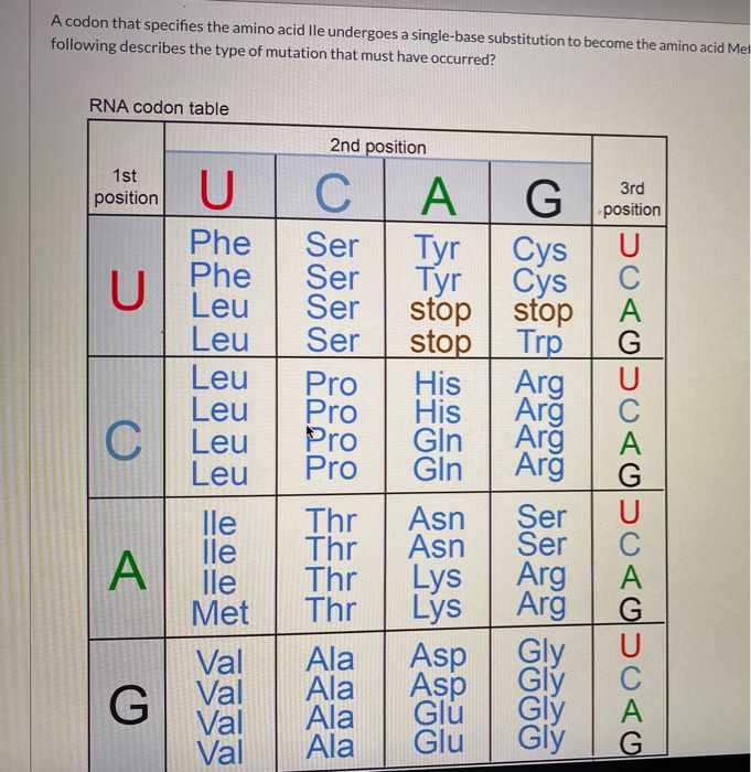 Solved A codon that specifies the amino acid lle undergoes a | Chegg.com